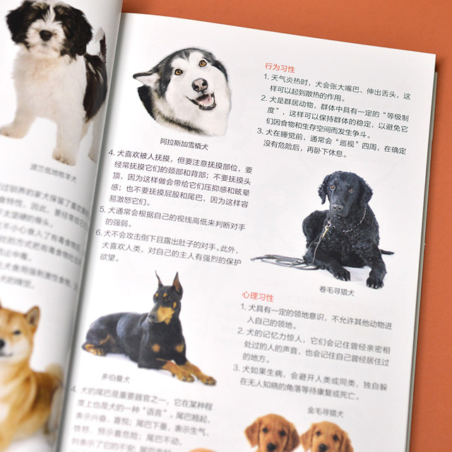 Famous Dog Illustrated New Upgraded Pet Dog Science Knowledge ...