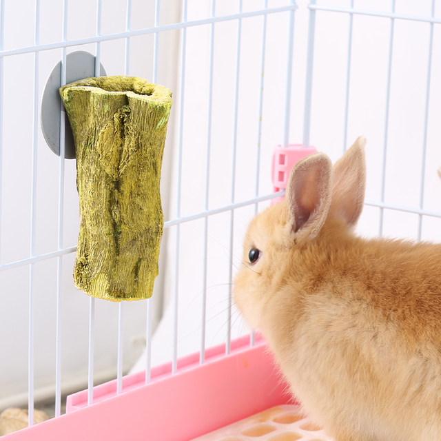 Teething papaya mound rabbit chinchilla guinea pig molar stick snack ...