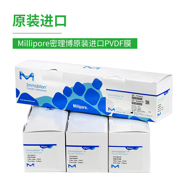 Millipore PVDF membrane 0.2um 0.45um WB/Dot blot membrane Sandwich kit