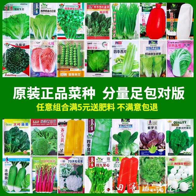Complete list of vegetable seeds for sowing in pots for all seasons ...