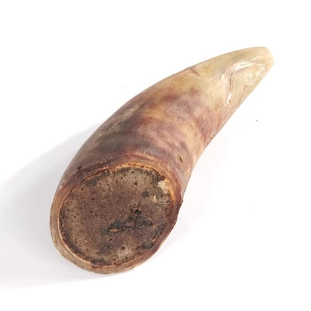 Dog teeth grinding air-dried horn pet snacks containing horn marrow ...