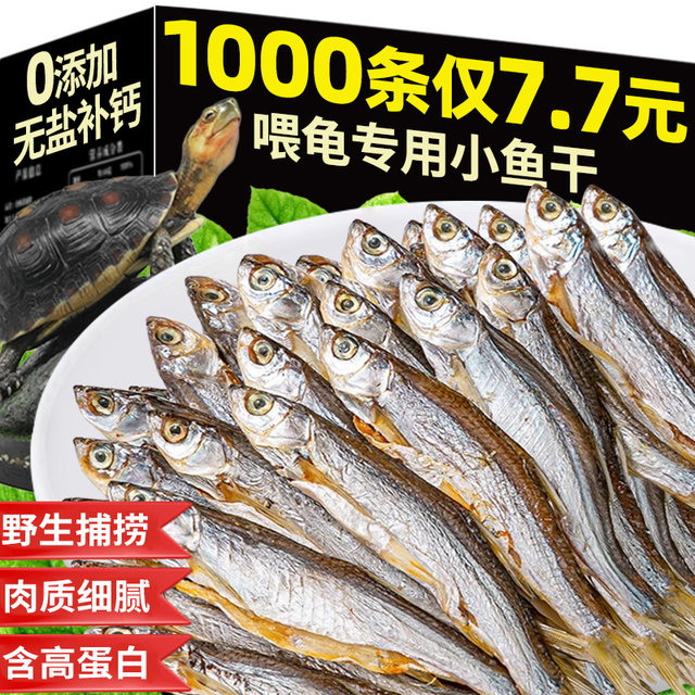 Freshwater small fish dry turtle food turtle feed pig-nosed snapping ...