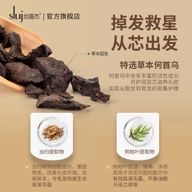 Polygonum multiflorum traditional Chinese medicine anti-hair loss ...