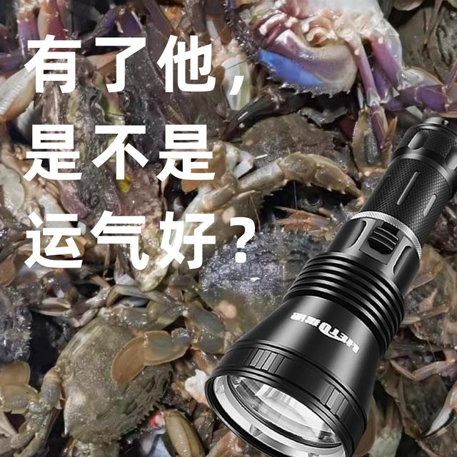 Super bright diving flashlight to chase the sea Devil's Eye flashlight ...