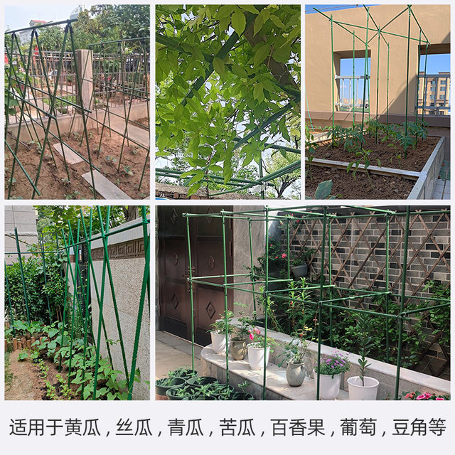 Grape climbing vine frame bean horn cucumber frame flower bracket ...