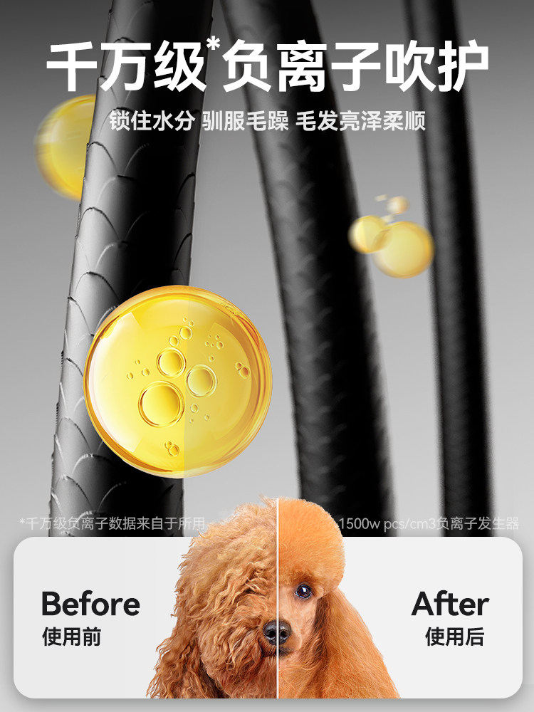 Sèche-cheveux Master Ai pour Animaux - Souffleur pour le toilettage de ...