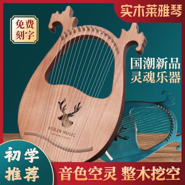 Lyre 24-string harp for beginners, 16-tone professional playing niche ...