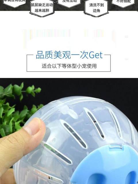 Hamster running ball sports rolling ball golden bear transparent ...