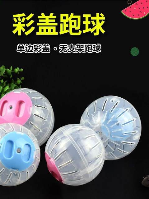 Hamster running ball sports rolling ball golden bear transparent ...