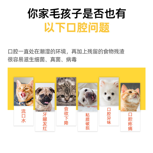 Frebao oropharyngeal pet stomatitis antibacterial liquid cat stomatitis ...
