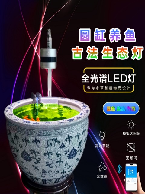 Ancient French cylinder plant supplement light light cylinder dedicated ...