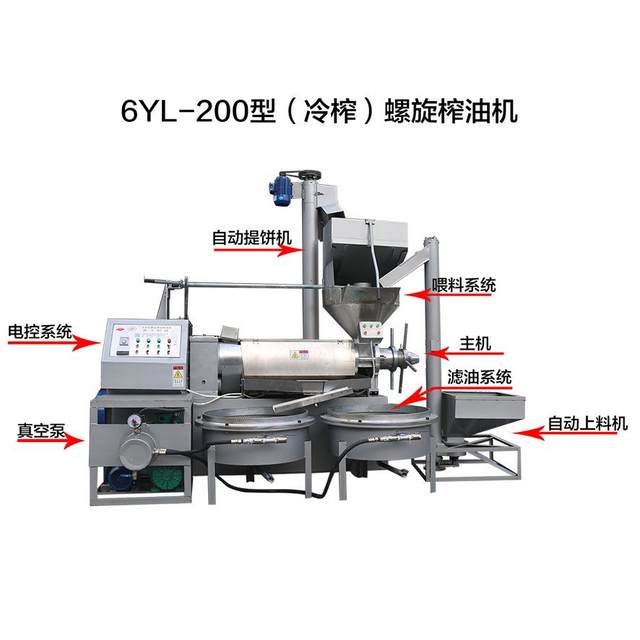 Commercial large oil mustor fully automatic flowering carved rapeseed ...