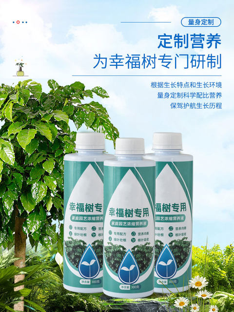 Happy Tree special fertilizer nutrient solution to treat fallen leaves ...