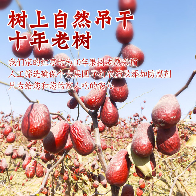 Xinjiang Special Gray Jujube Original Ecology Ruoqiang Special -Grades ...