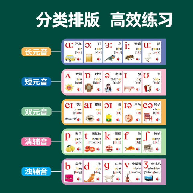 48 International English Phonetic Alphabet Pronunciation Wall Chart ...