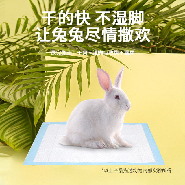Rabbit urine pads Pet rabbit with urine, damp diapers, rabbit cage ...