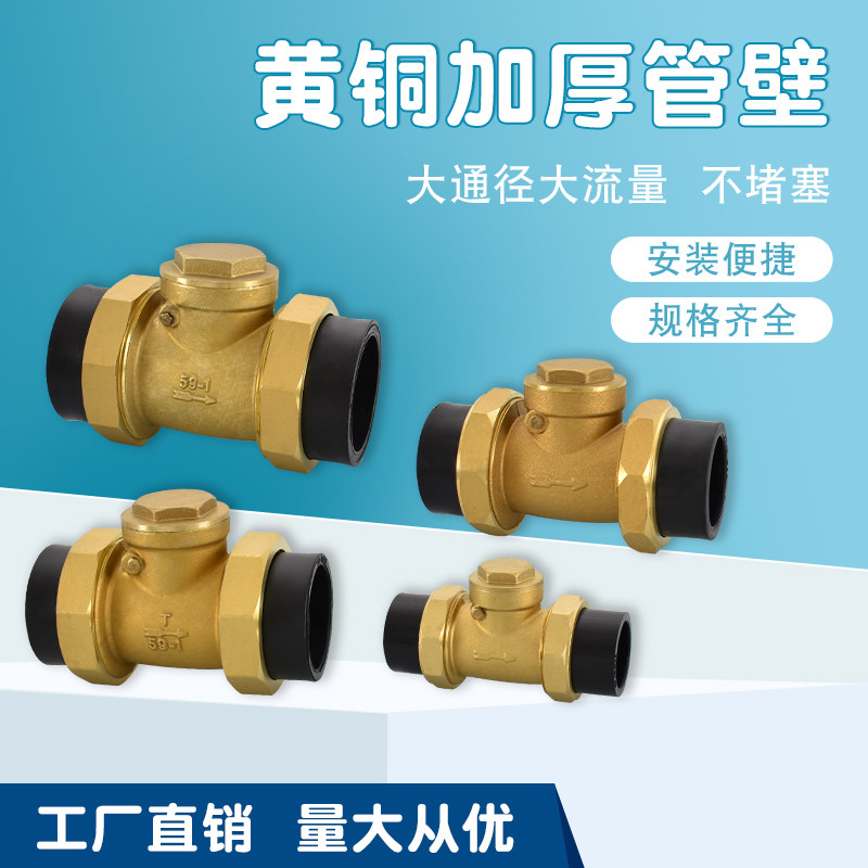 Qiheng PE Horizontal Check Valve - Copper Welding Stop Valve (20-63mm)