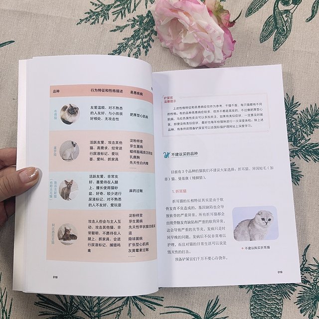 The official all-stage scientific care guide for cats is diagonally ...