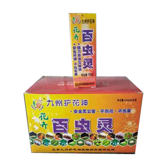 Wandong Gardening Kyushu Blossom Flower Flower God Cordylid Dentian ...