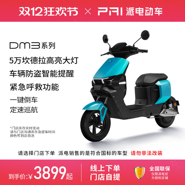 Paidian flagship store PAI-DM3 new long battery life 48V24 lithium ...