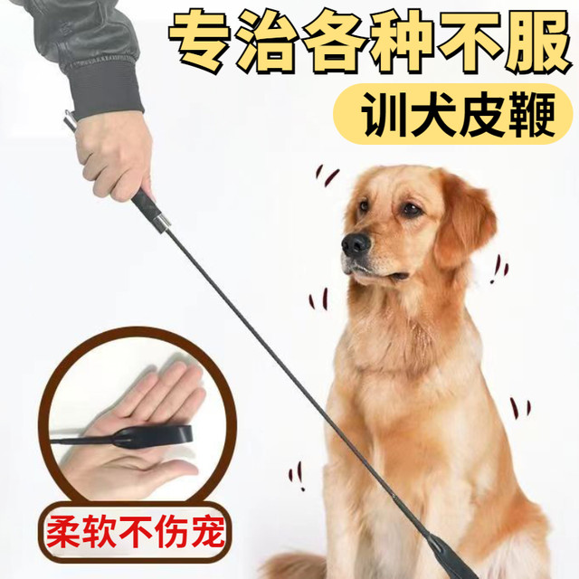Dog fighting stick training dog fighting stick dog love shooting ...
