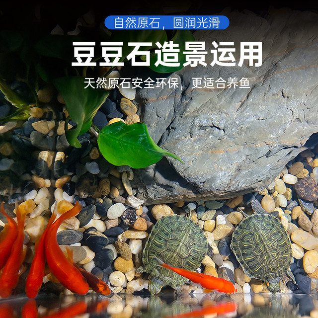 No-wash natural native stream stone pebbles pea stone fish tank bottom ...