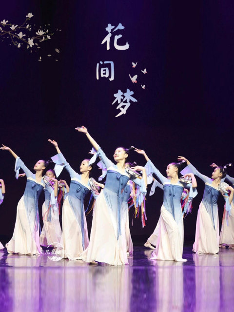 Huajianmeng dance costume classical dance performance costume girls and ...