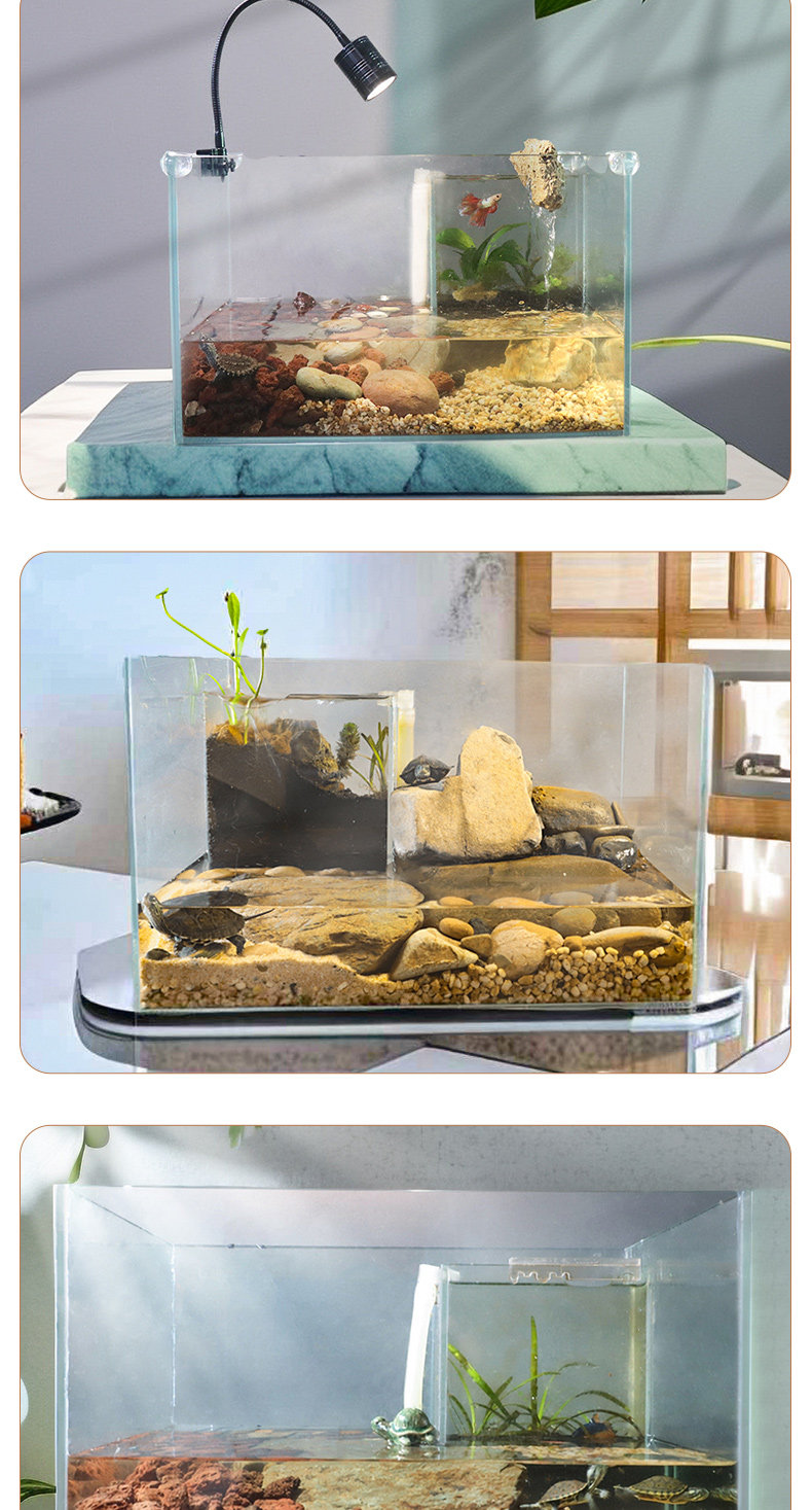 Uncle Li Glass Turtle Tank - Ecological Fish Tank For Turtles | Pile ...