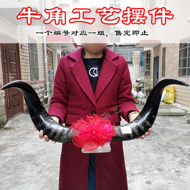 Black Yak Horn Crafts Natural True True Horn Home Decoration Simpling ...