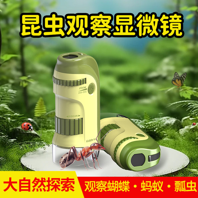 Looking at insect microscope children's science experiment ...