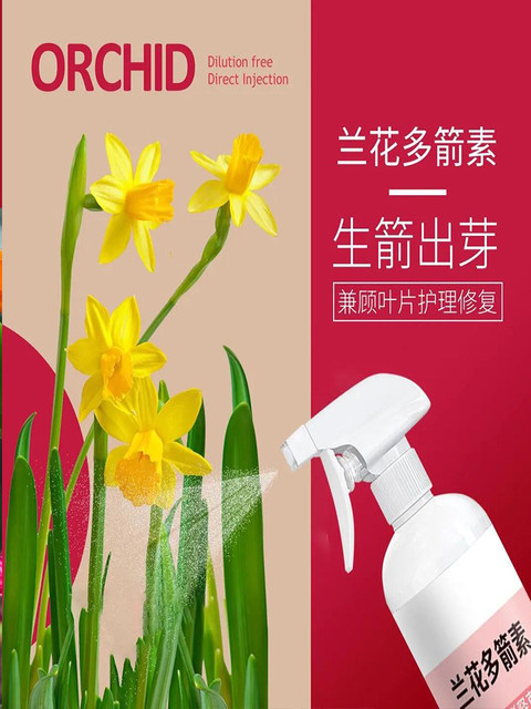 Nutrition solution Plant orchid-shaped flower fat for wealthy trees ...