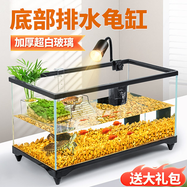 Ecological turtle tank home with a turtle nourishing turtle villa ...