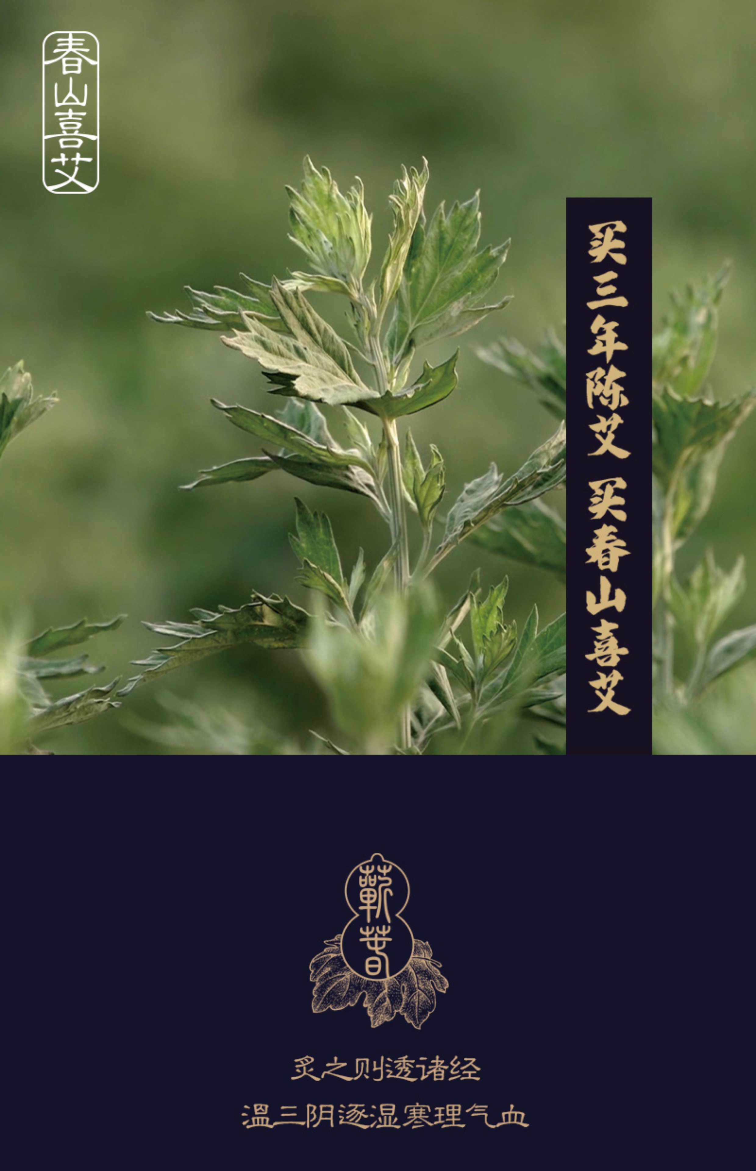 Moxa stick extension needle - Ginger-partition moxibustion tool set ...