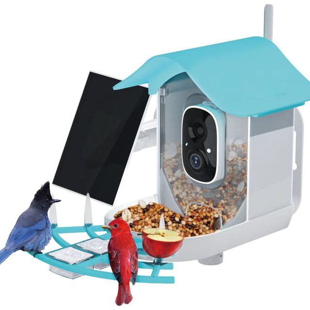 New smart AI bird identification wireless pet feeding equipment outdoor ...