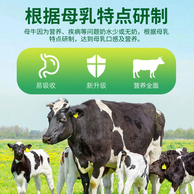 Century Beauty's special milk powder for calves, cowboy milk replacer ...