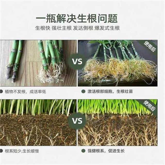 Plant rooting nutrient solution, universal powerful root blasting, root ...