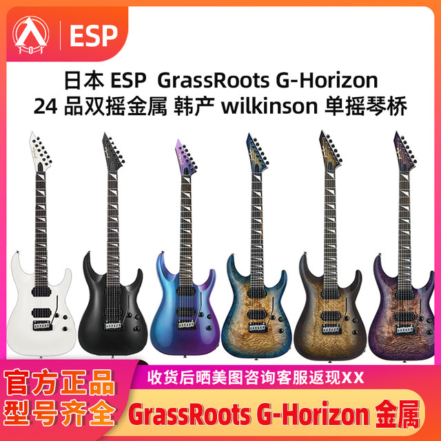 Beginner's 101 ESP GrassRoots grassroots G-Horizon Mirage metal electric guitar 24 frets