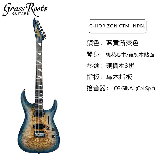 Beginner's 101 ESP GrassRoots grassroots G-Horizon Mirage metal electric guitar 24 frets