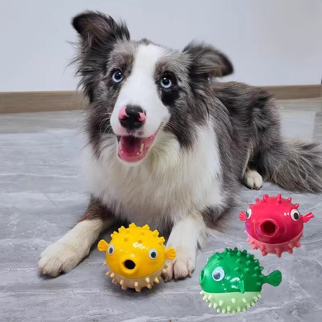 Bouncing fish dog toy relieves boredom, grinds teeth and bites, small ...