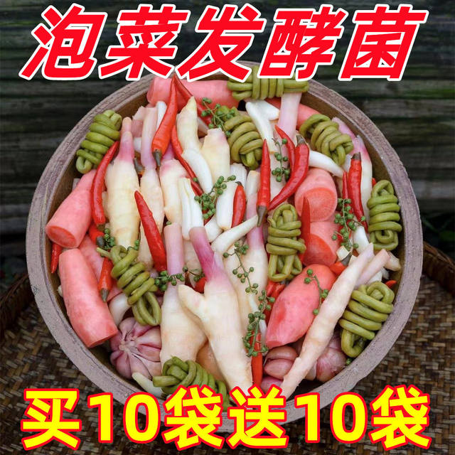 Authentic kimchi fermentation bacteria lactic acid bacteria ...