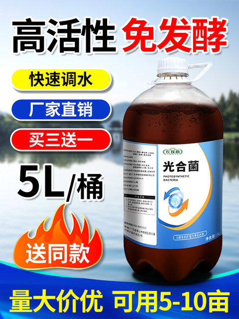 Special fish pond for fish farming for purifying water quality and degrading subsalt ammonia ...