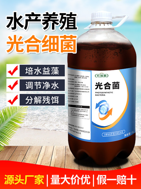 Special fish pond for fish farming for purifying water quality and degrading subsalt ammonia ...