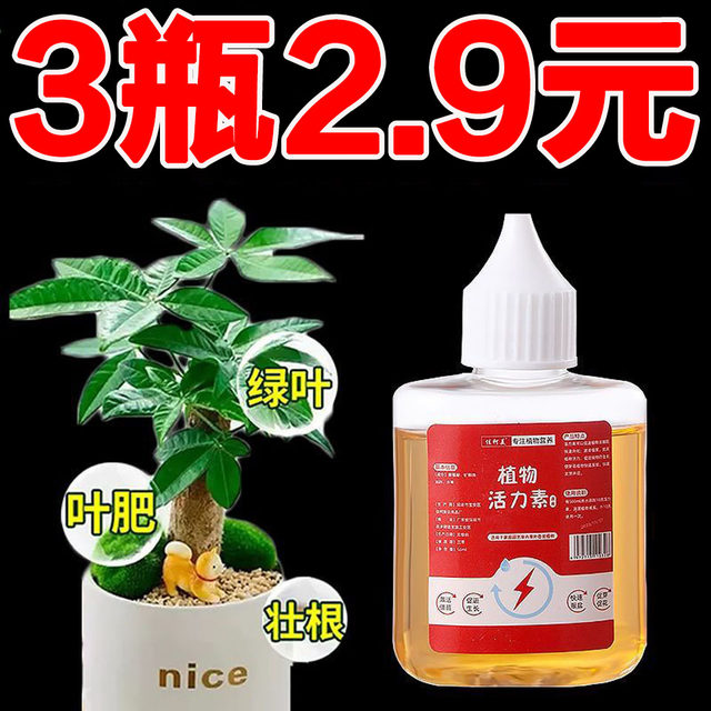 Plant vitality concentrated nutrient solution rich tree succulent ...