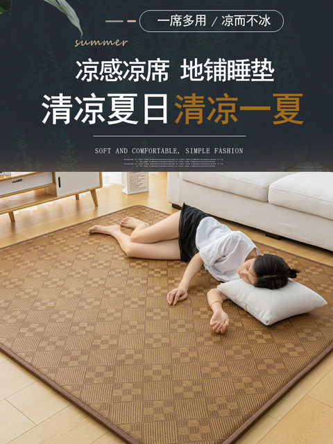 Summer living room mat, floor mat, special sleeping mat, tatami ...