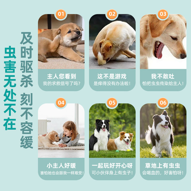 Meichenji internal and external anthelmintic for cats and dogs, all-in ...