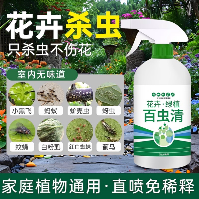 Commonly used insecticides for flower plants and rose flower diseases ...