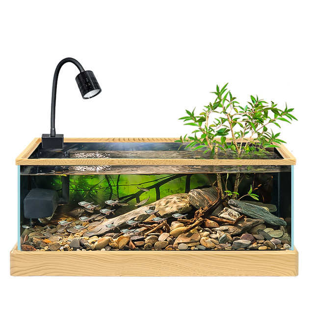 New glass fish tank native South American stream tank landscaping home ...