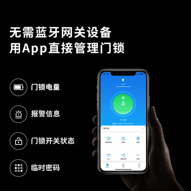 Cadiz F300 home handle electronic anti-theft magnetic card induction ...