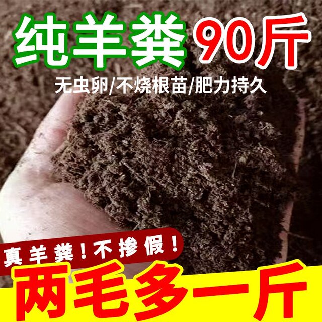 Sheep manure fermentation organic fertilizer for growing vegetables and ...
