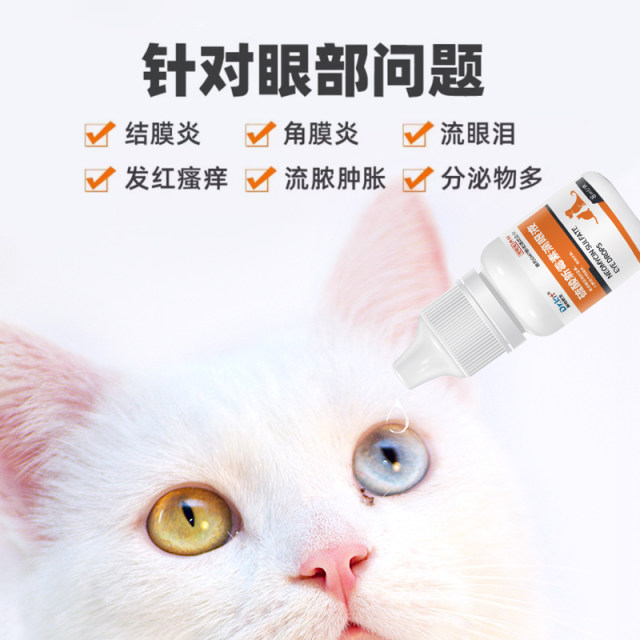 Eye drops for pet cats, neomycin sulfate eye drops for dogs and cats ...